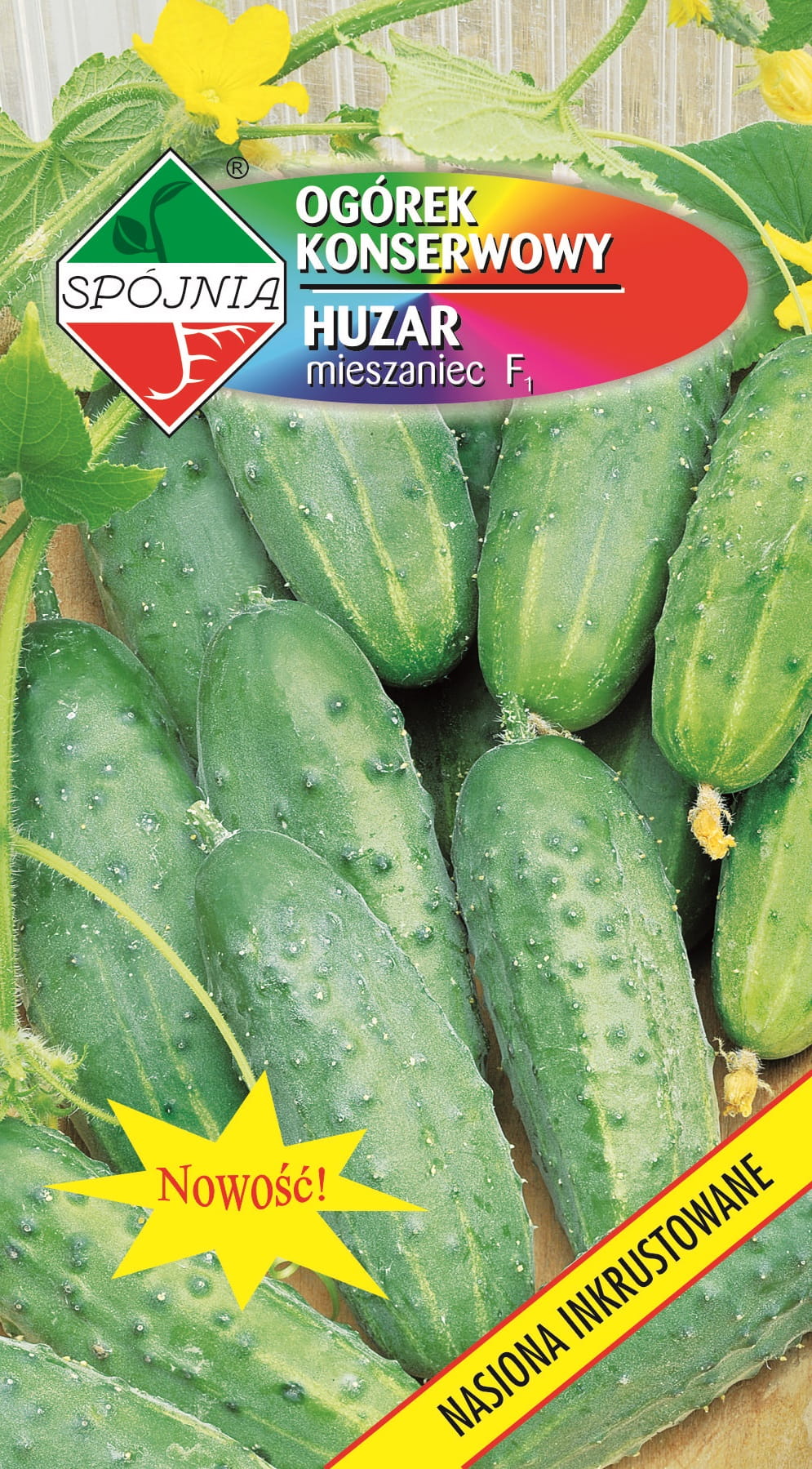 Ogórek gruntowy Huzar - mieszaniec 5g. PlantiCo - firmowy sklep z nasionami
