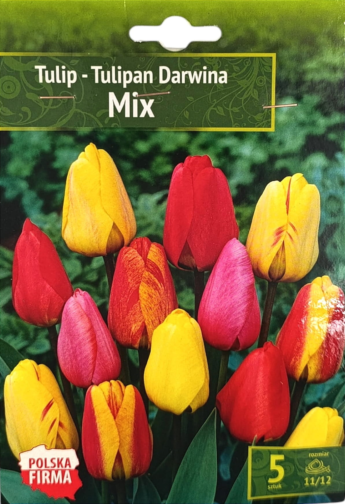 Tulipany Darwina mix 5 szt. PlantiCo - firmowy sklep z nasionami